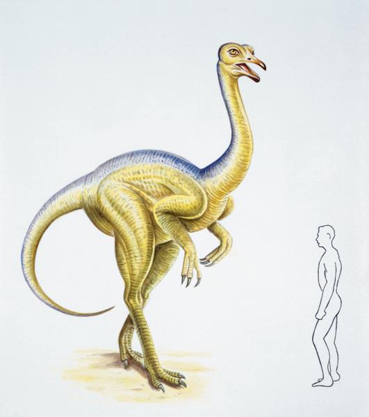 Deinocheirus | Sapere.it