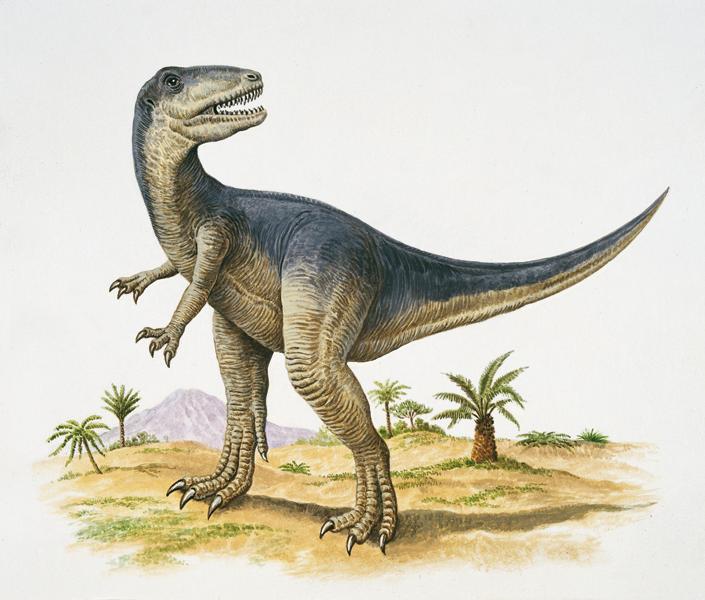 Piatnitzkysaurus | Sapere.it