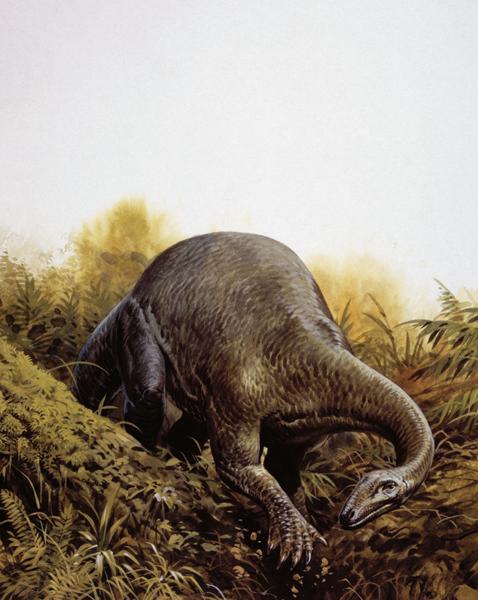 Plateosaurus | Sapere.it