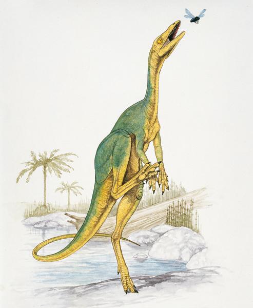 Protoavis | Sapere.it