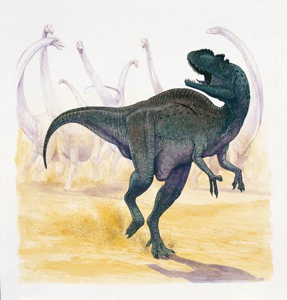 Yangchuanosaurus | Sapere.it